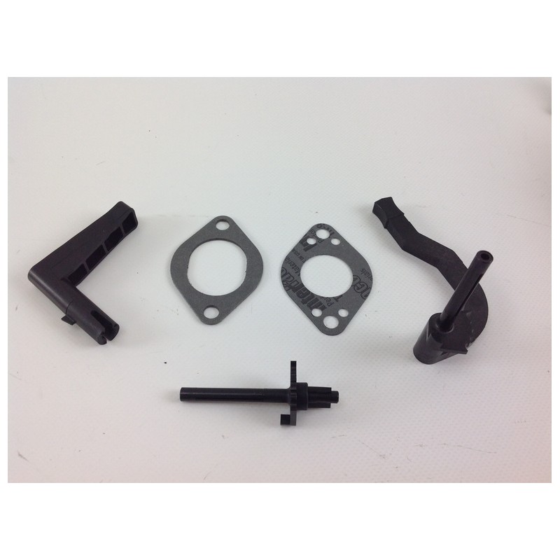 Carburettor lawn tractor engine BRIGGS Vanguard 9 HP horizontal 19L...