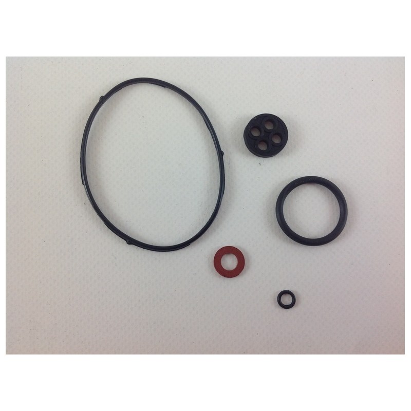 Gasket kit lawn tractor compatible HONDA 16010-ZE2-812:Seals and Me...